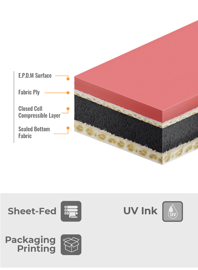 Sheet-Fed Blankets